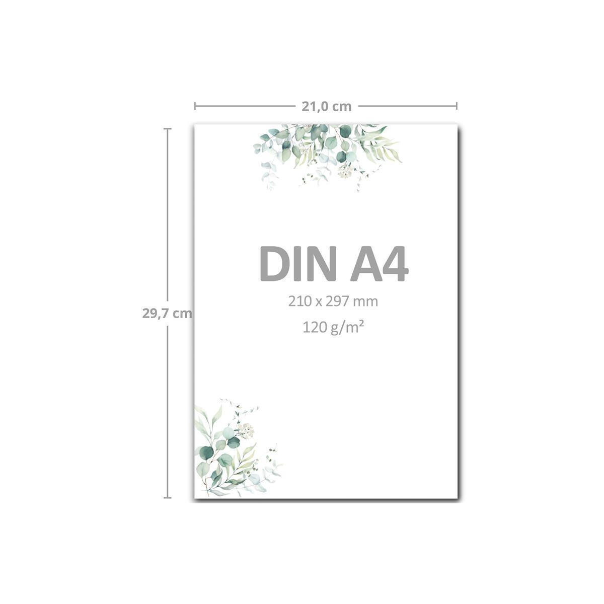 75 Briefbogen-Sets DIN A4 - Naturpapier in Creme mit Eukalyptus-Zweig ...